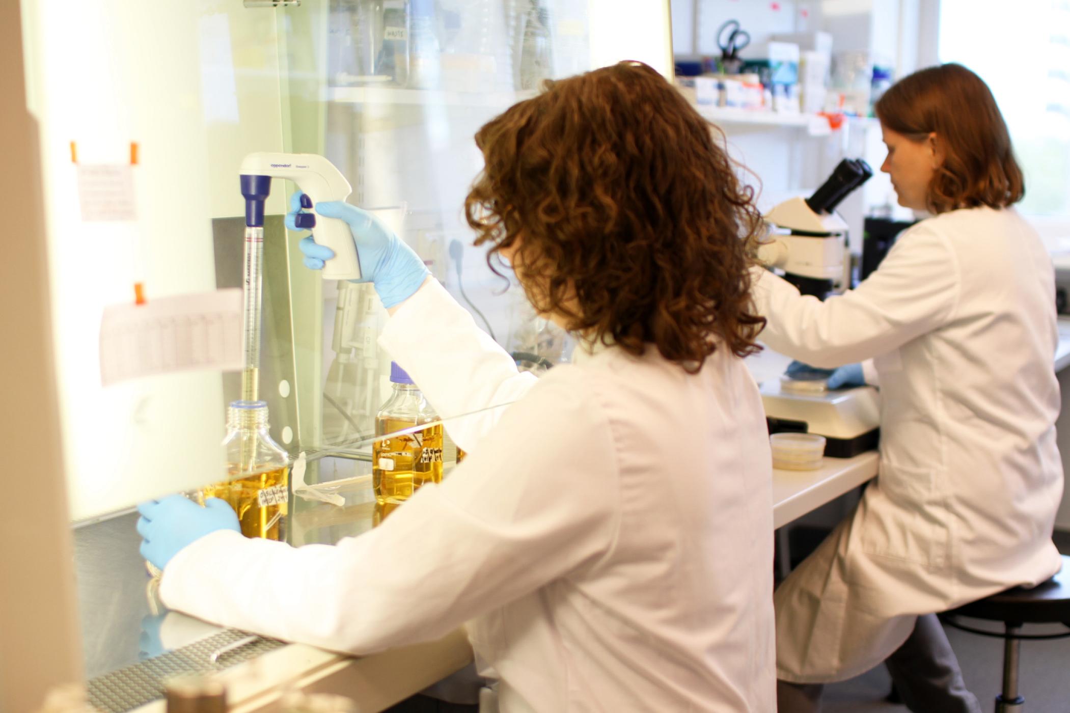 Welcome to the Research Group Evolutionary Ecology and Genetics